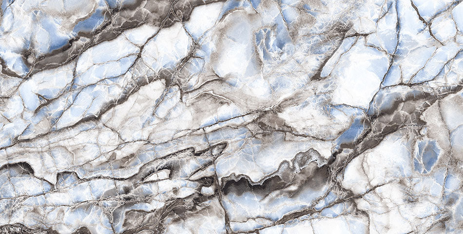 Glazzio Safari Series – Timeless Tile NYC