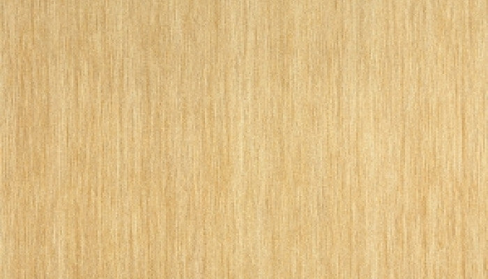 Caesar Feel Mida 12 x 24 Porcelain Wall & Floor Tile – Timeless Tile NYC